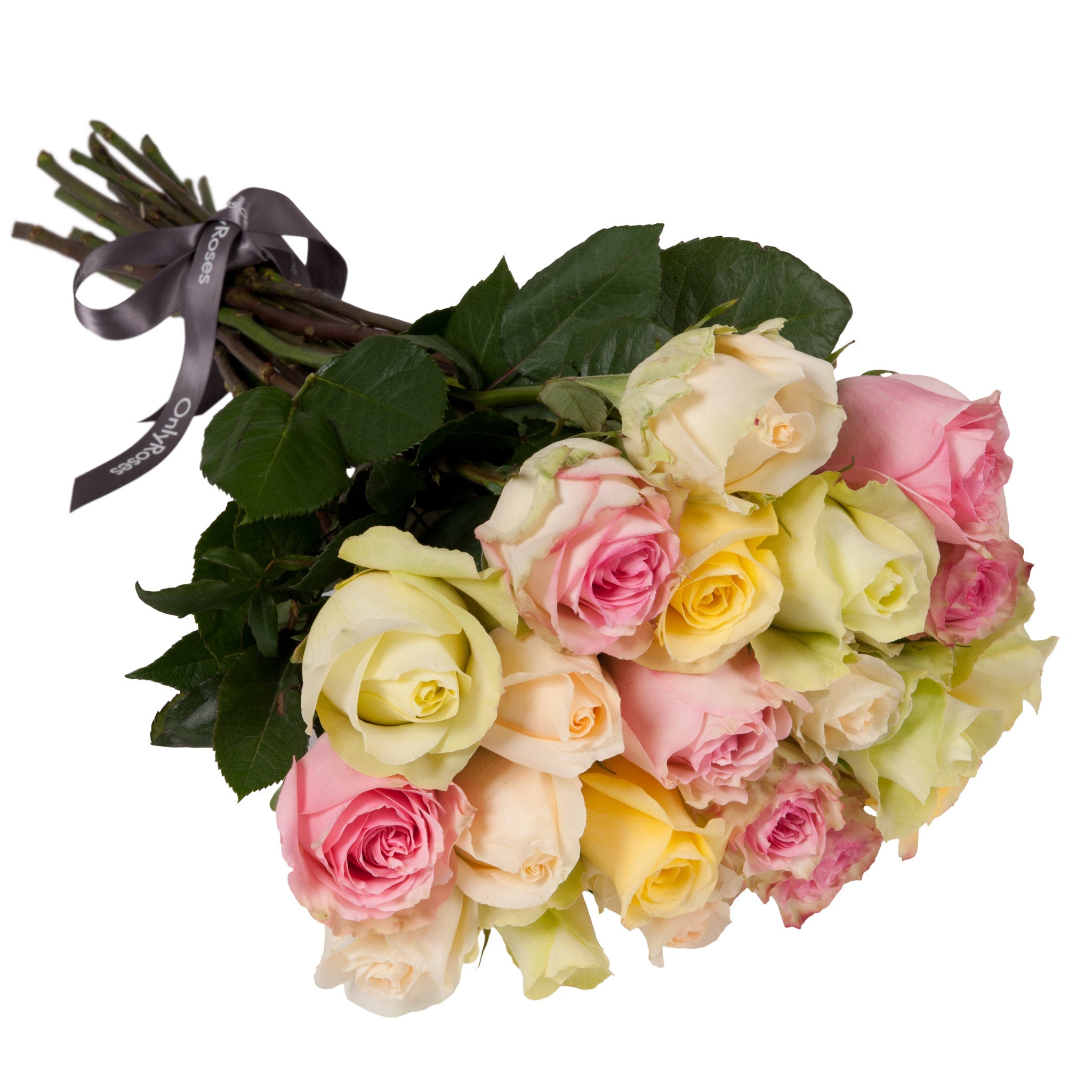 Luxury Preserved Roses UK | Forever Roses & Rose Boxes | OnlyRoses - UK