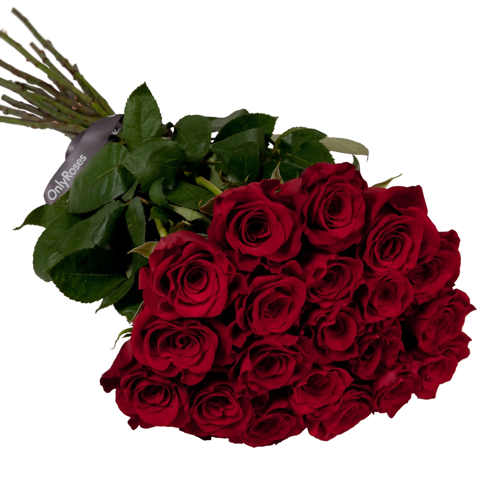 Luxury Rose Delivery London | Preserved Roses & Rose Boxes | OnlyRoses UK
