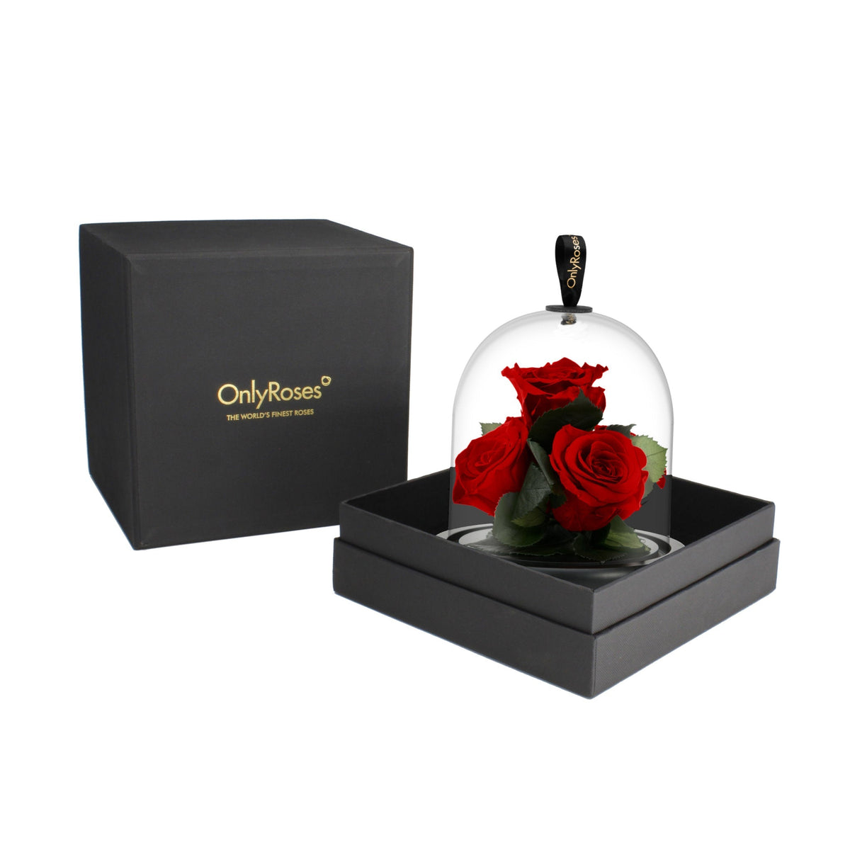 Valentine's Infinite Rose Gem - Red | Valentine's Roses Delivery UK ...