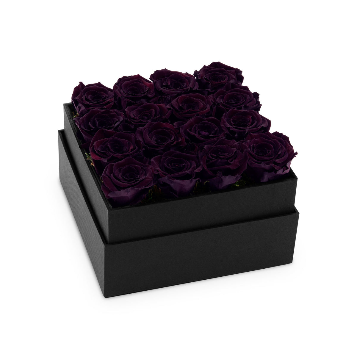 Infinite Rose Plaza - Pink | Preserved Roses | OnlyRoses UK | OnlyRoses ...