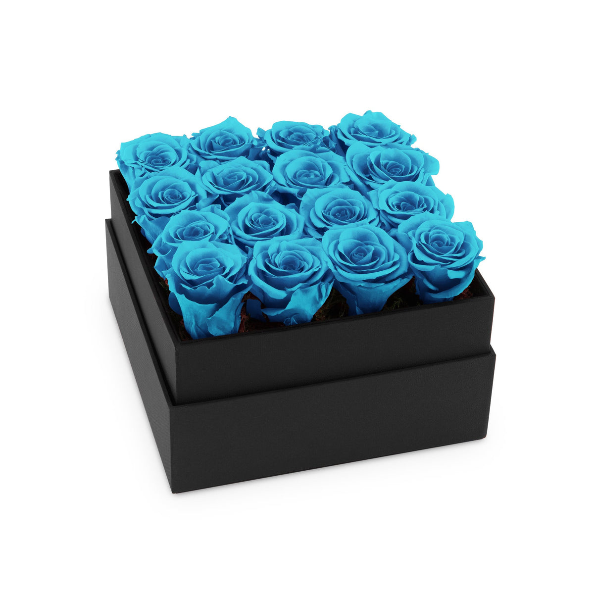 Infinite Rose Plaza - Pastel | Preserved Roses | OnlyRoses UK