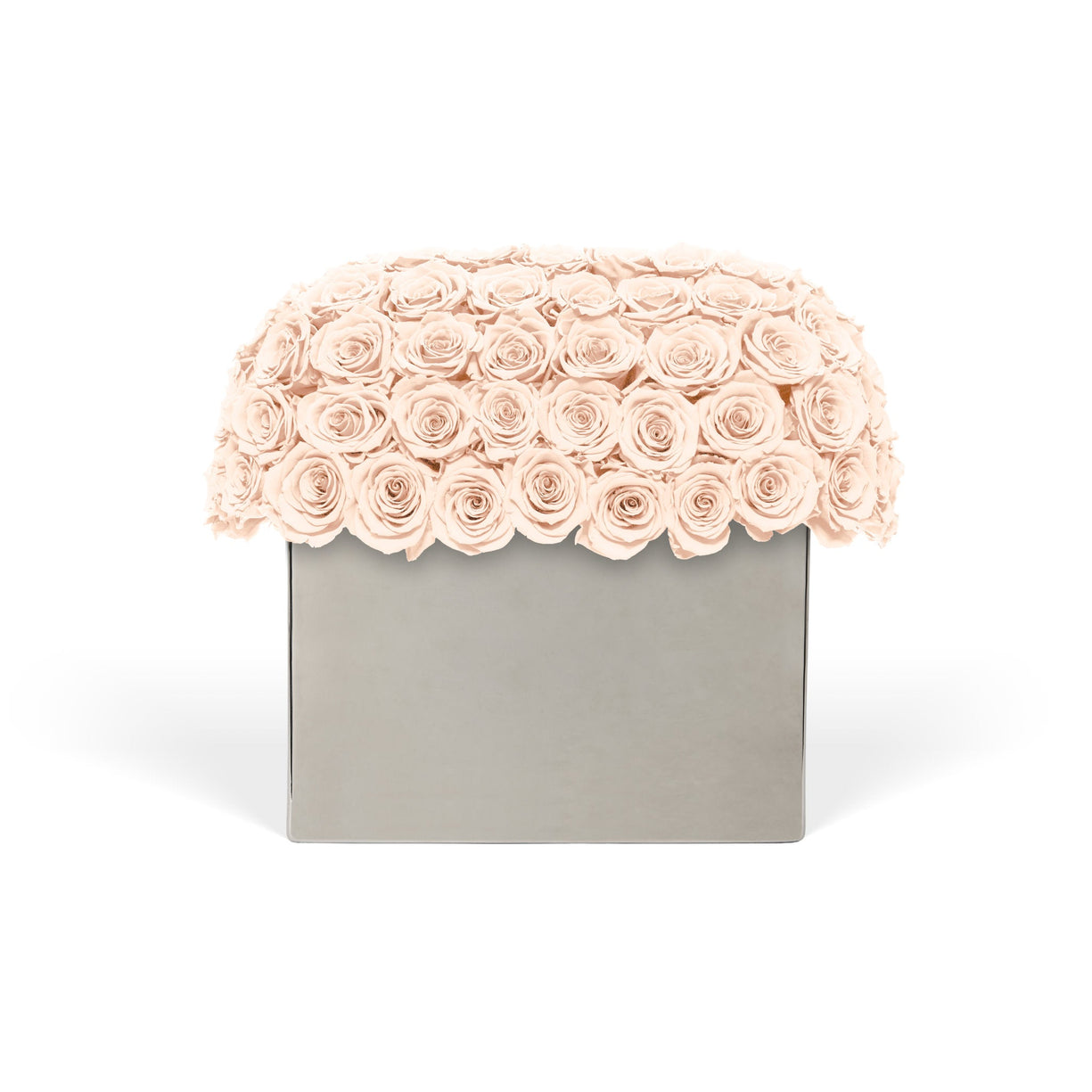 Infinite Rose Modernist | OnlyRoses - UK